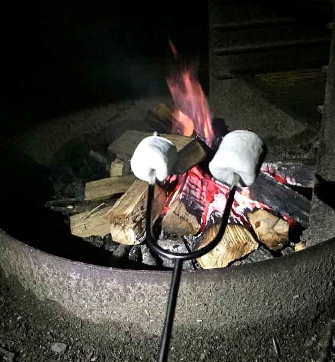 S'mores in progress—the official flavor of camping memories. That perfect marshmallow char is an art form few have mastered.