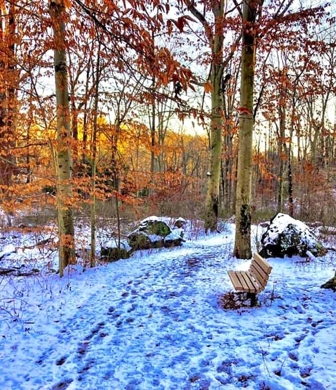 Winter's magic touch transforms familiar trails into a snow globe scene worthy of a holiday card &ndash; just add hot chocolate.