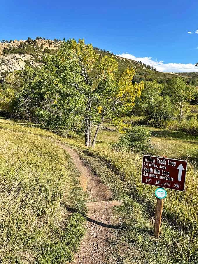 Trail signs pointing to adventure&mdash;the universe's way of asking "Which story do you want to be part of today?"
