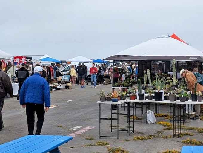 Succulents and greenery add natural beauty to the market, proving that even plant lovers find their happy place here.