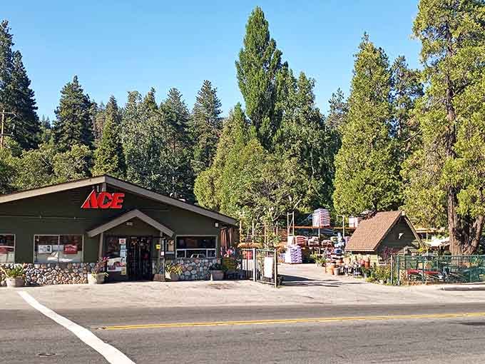 That Ace Hardware sits surrounded by towering pines, proving even practical shopping feels special in mountain towns.