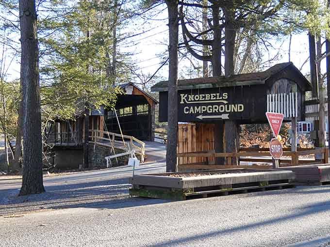 Wooded campgrounds offer rustic retreats where families create memories under Pennsylvania's protective forest canopy naturally.