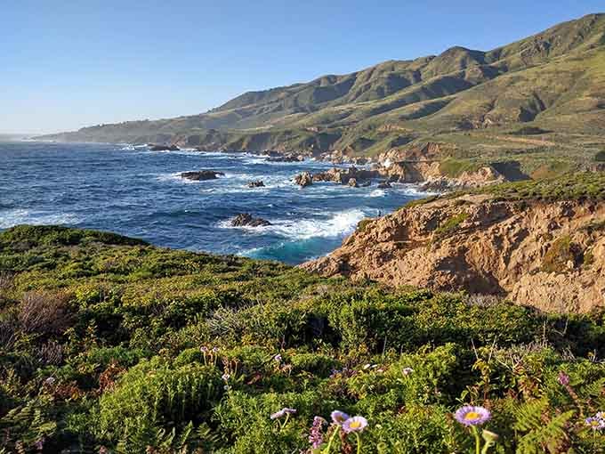 Wildflowers bloom along dramatic cliffs where the Pacific crashes against rugged rocks in an endless dance of power.