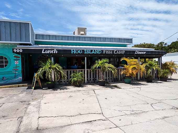 Hog Island's turquoise exterior is like a preview of the ocean-fresh flavors waiting inside this Dunedin favorite.