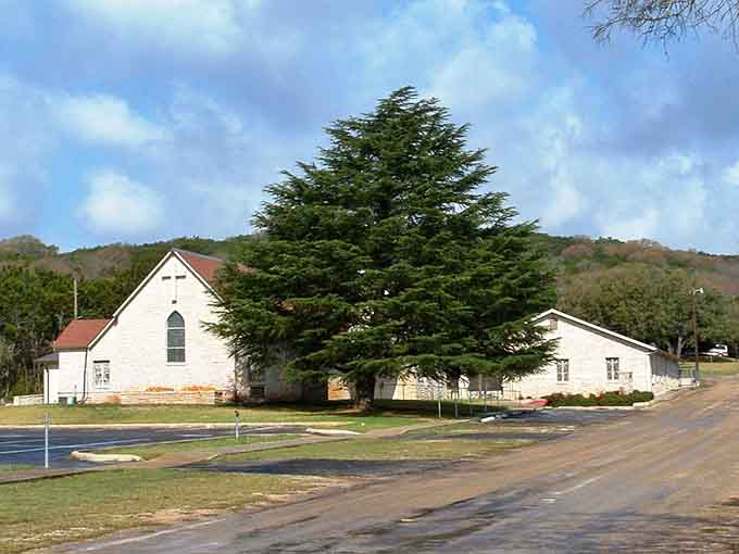 A majestic cedar tree shades the white chapel, creating a peaceful scene that could grace any inspirational calendar.