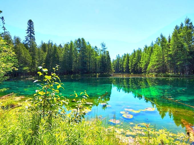 This emerald pool looks Photoshopped but it's absolutely real&mdash;nature's own swimming hole in the most stunning shade imaginable.