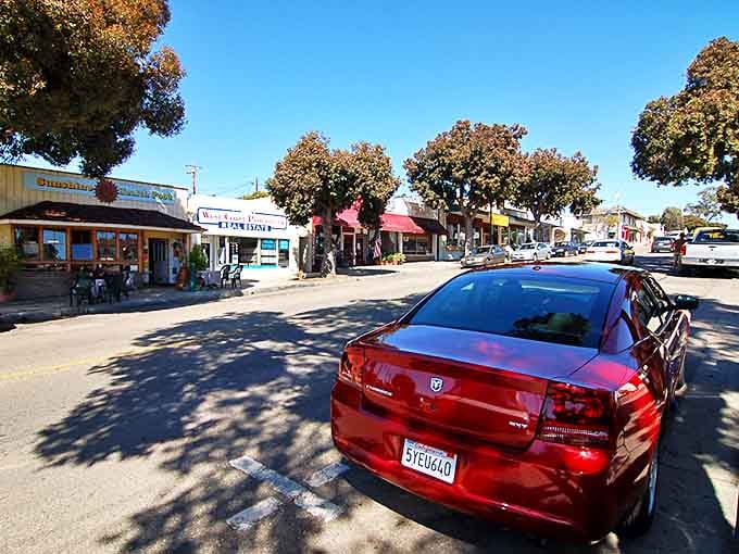 The small-town charm of Morro Bay's main street belies the natural wonder just steps away at the waterfront.