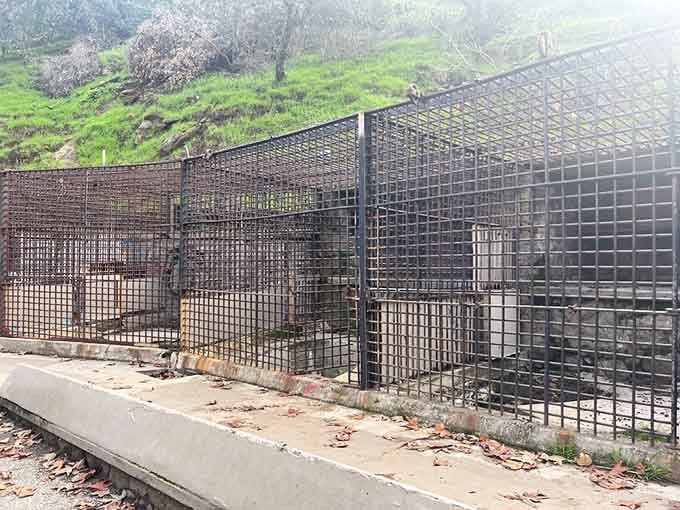 Empty cages sit silent now, their iron bars and concrete walls reminders of how far we've come in understanding.