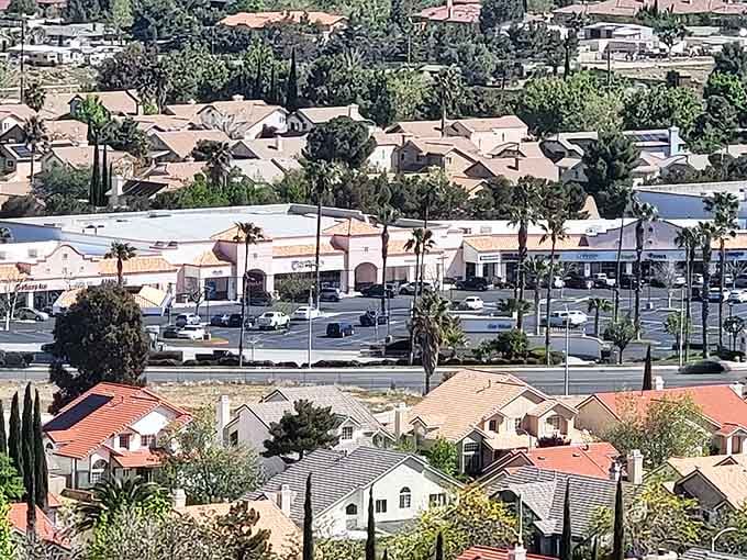 Rooftops stretch toward shopping centers with palm trees standing guard like California's unofficial welcoming committee.