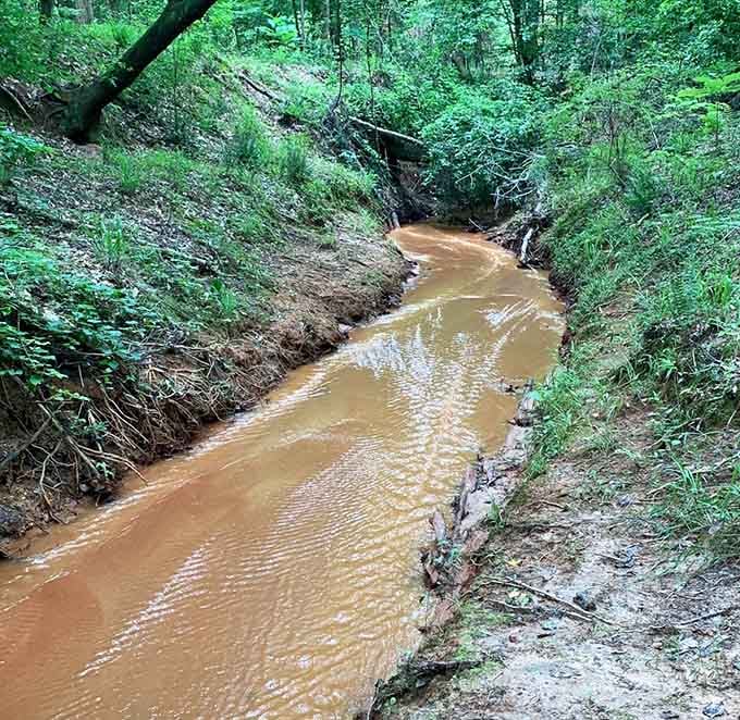 The muddy trail curves ahead through winter woods, promising adventure for those who don't mind dirty boots.