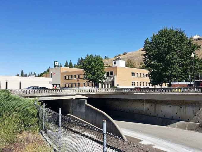 That bridge spans quiet waters with the golden hills beyond, showcasing the unexpected beauty of eastern Washington's agricultural heartland.