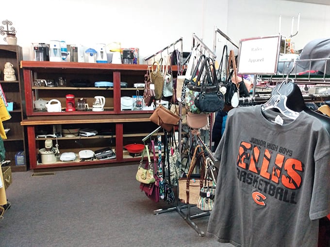 Inside Ellis Thrift Shop, organized shelves showcase everything from vintage purses to local sports memorabilia.
