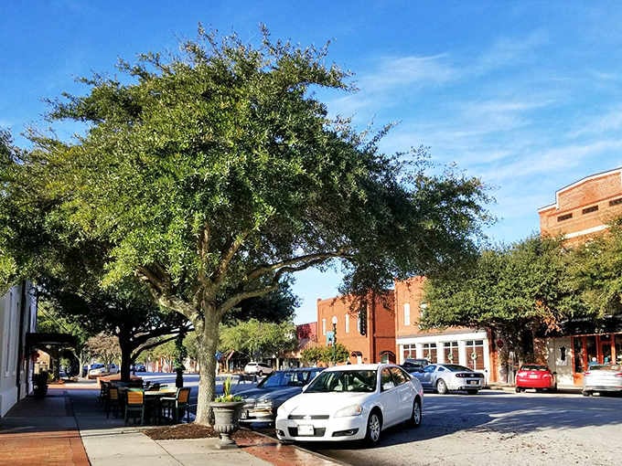 Mature oaks shade the street where cars move slowly enough that pedestrians don't need to sprint across intersections.