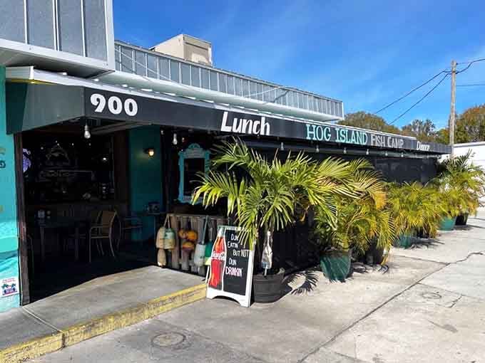 The palm trees outside Hog Island Fish Camp set the perfect tropical mood for the seafood feast that awaits.