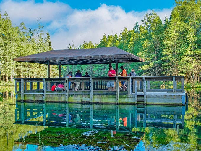 Visitors gather on the observation deck, mesmerized by water so clear you can count pebbles on the bottom.