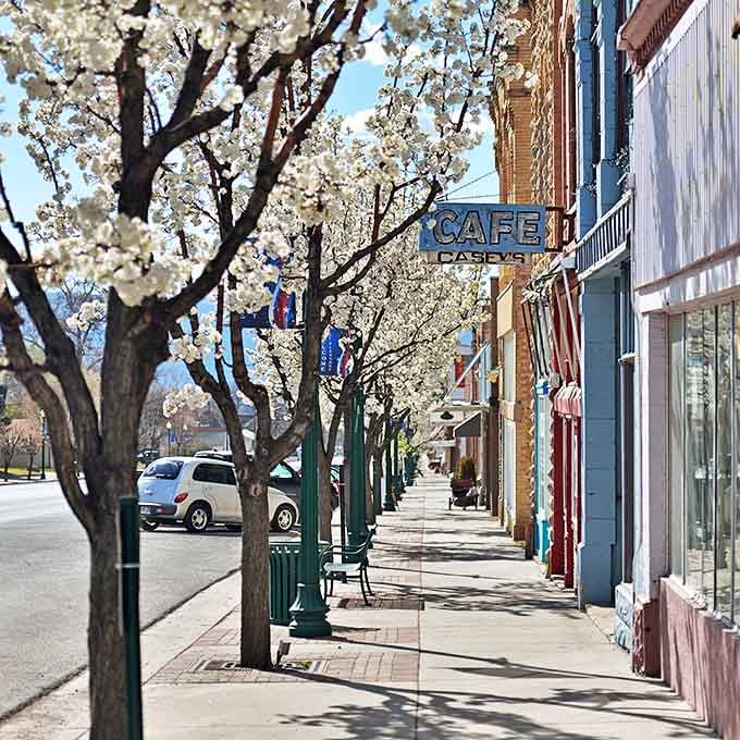 Spring blossoms frame the sidewalk like nature's welcome sign to a town that values beauty over expense.