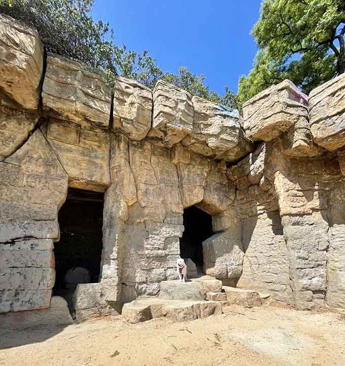 Carved sandstone grottos create mysterious chambers where sunlight filters through openings in the weathered rock walls above.
