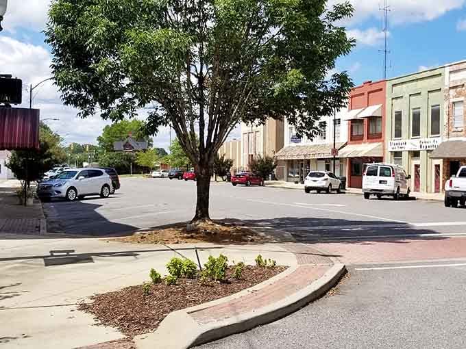 That magnificent shade tree anchors the town square, providing cool relief and timeless beauty for generations.