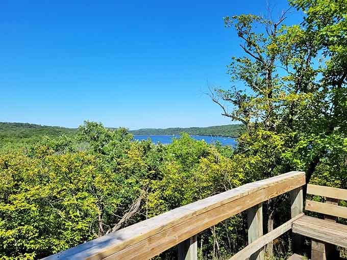 Overlook views that remind you why Minnesota's river valley earned its Wild and Scenic designation decades ago.