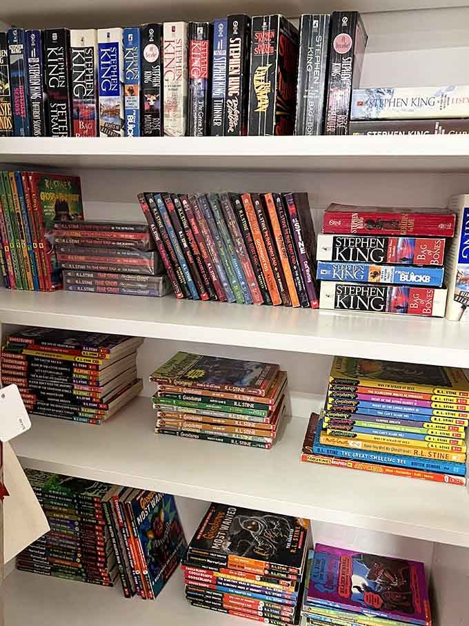 Stephen King and R.L. Stine share shelf space, ready to terrify a whole new generation.