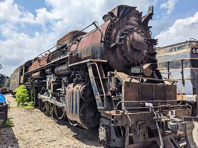 Some locomotives age gracefully, others wear their rust like battle scars from decades of hard work and glory.