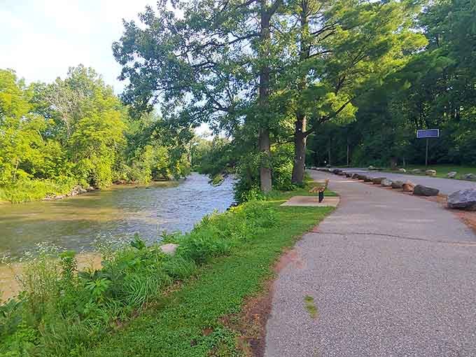 Attridge Park's riverside path invites leisurely strolls where the biggest decision is whether to watch the water or the wildlife.