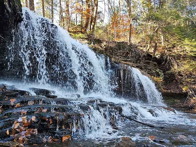 Winter waterfalls freeze into stunning ice sculptures, transforming Ricketts Glen into Pennsylvania's most spectacular natural art gallery.