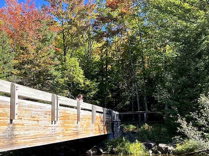 The sturdy bridge system lets you explore multiple angles without needing rock-climbing skills or mountain goat DNA.