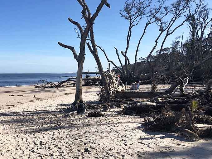 Wandering among fallen giants, where every angle reveals another frame-worthy moment of coastal drama.