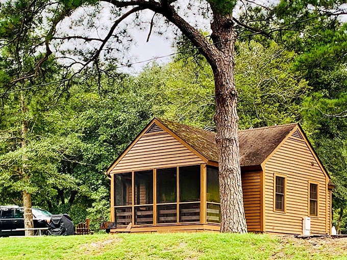 This cabin doesn't just offer a place to sleep&mdash;it offers temporary ownership of a slice of forest that billionaires would fight over if they knew about it.