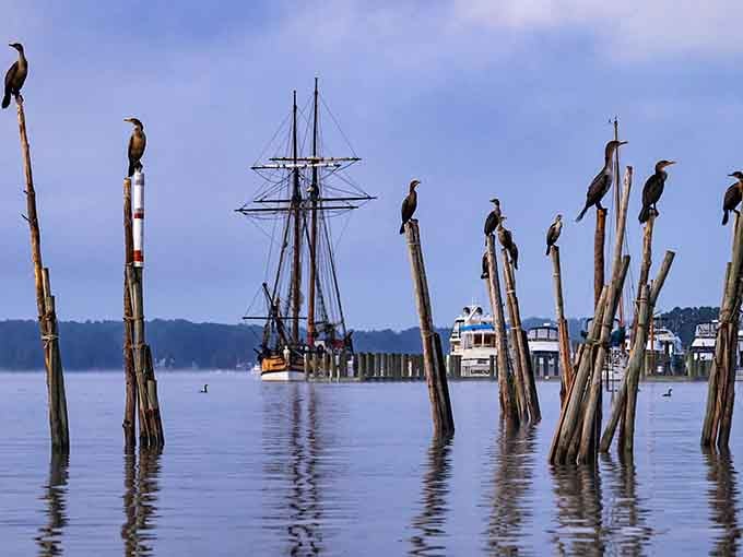 The Sultana at dock reminds you that history happened on water, not just in textbooks.