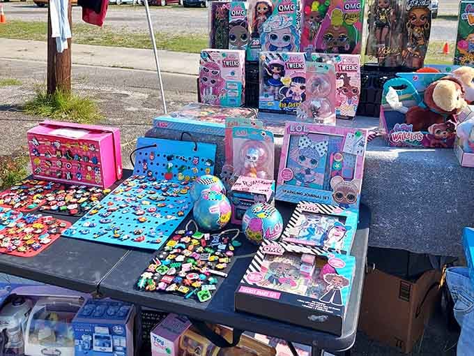 Toys and collectibles spread out like a kid's birthday wish list come to life miraculously.