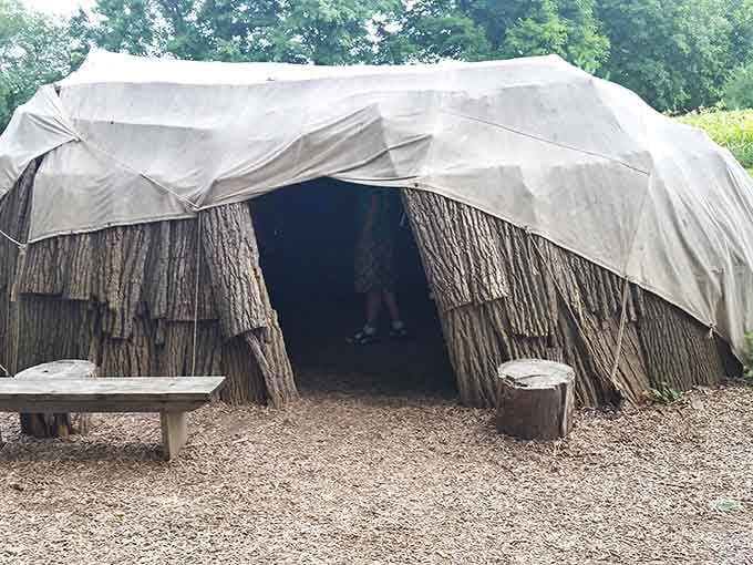 This traditional wigwam offers a glimpse into Lenape life, teaching history that textbooks somehow always managed to skip over completely.