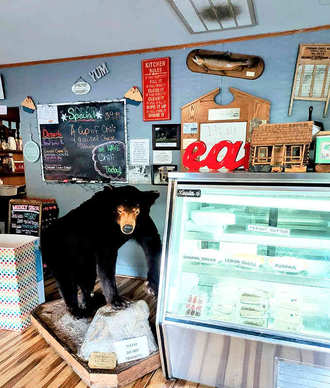 That bear statue guarding the dessert case takes his job seriously, protecting pies and cakes.