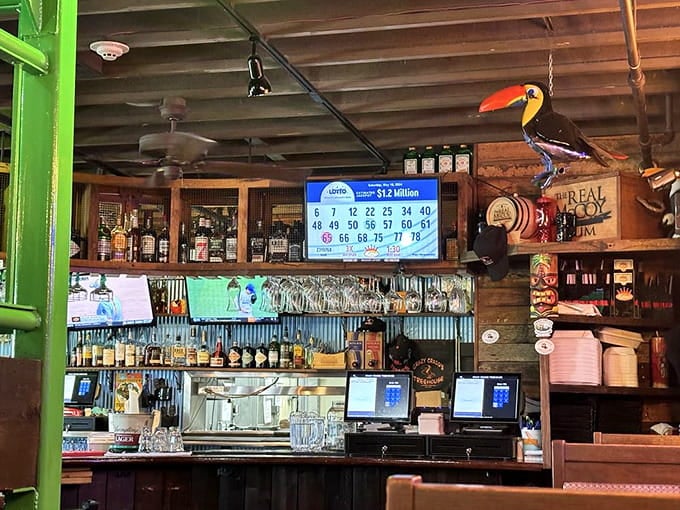 A bar topped with a toucan because normal bars are for people without imagination or sense of fun.