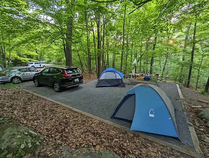 Pitch your tent among the trees and remember what it feels like to truly unplug from everything.