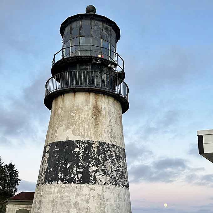 The weathered lighthouse stands sentinel over these waters, a photogenic reminder of the coast's dramatic maritime history.