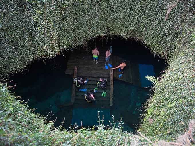 Looking down into the earth's own swimming pool, where the water stays a perfect 72 degrees regardless of Florida's mood.