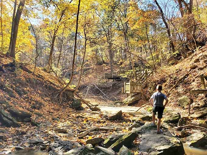 Autumn transforms the trail into a golden pathway that practically begs you to take a stroll.