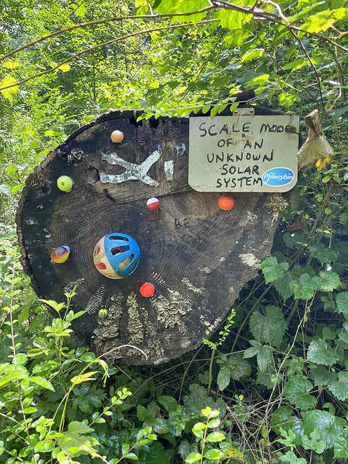 A scale model of an unknown solar system, because why shouldn't the forest have its own astronomy lesson?