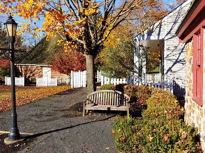 Even the benches invite you to pause and imagine life without constant digital distractions or notifications.
