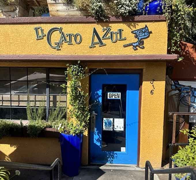 That welcoming blue door with the "OPEN" sign is the best invitation you'll receive in Prescott today.