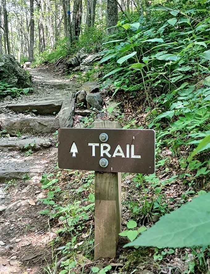 Sometimes the best directions in life are the simplest ones: just follow the trail upward.