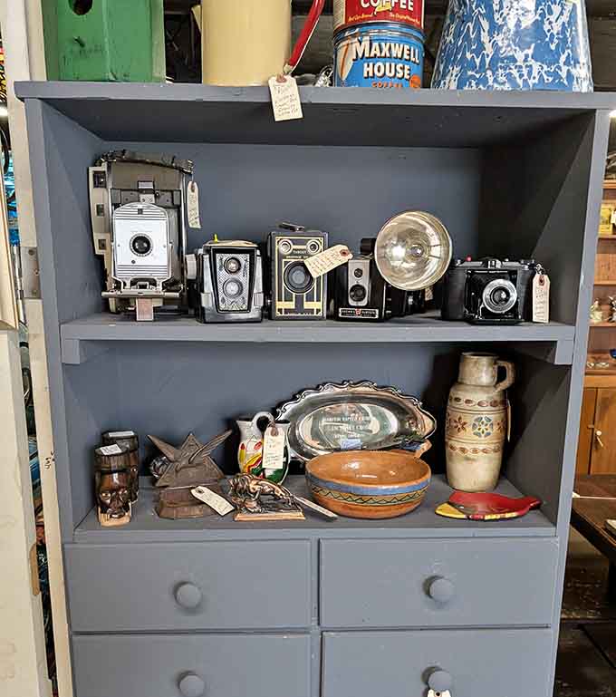 Vintage cameras lined up like soldiers from the film era, back when photography required actual skill and patience, imagine that.