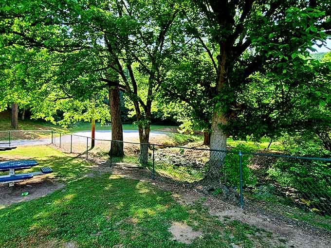 Peaceful green spaces like this remind you that nature doesn't charge admission or require reservations.