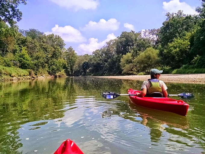 Kayaking down calm waters surrounded by green trees beats sitting in traffic, and your car doesn't even have cup holders this good.