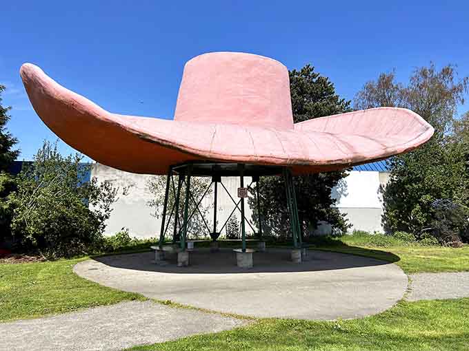 Sunshine highlights every curve and detail of this magnificent hat that's longer than most swimming pools.