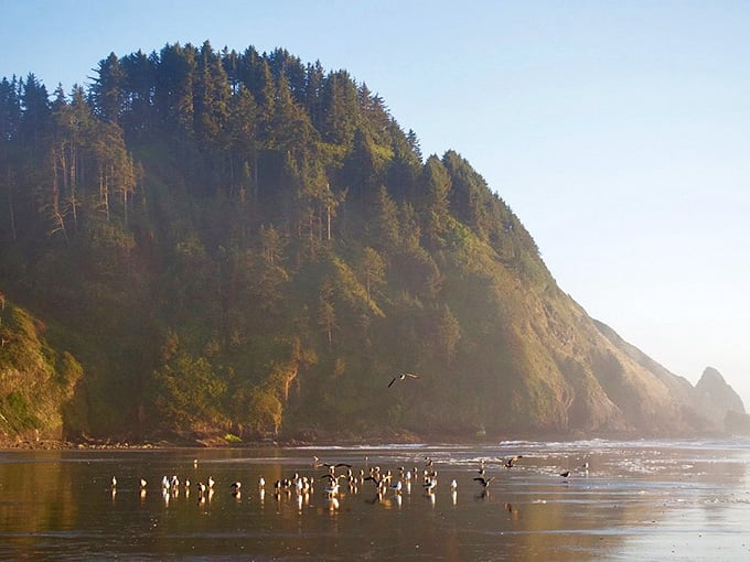 Coastal cliffs meeting the Pacific Ocean, because Oregon refuses to do anything halfway when it comes to scenery.