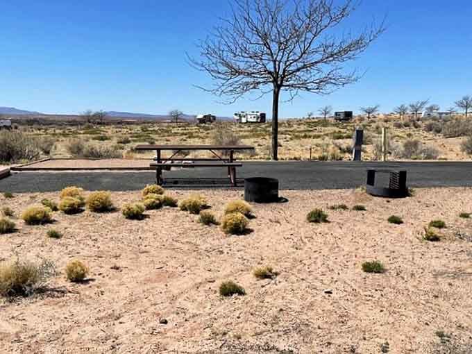 Your picnic spot with a view that beats any restaurant patio, no reservation or dress code required.