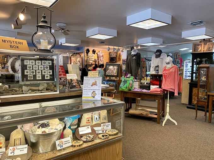 The gift shop offers treasures from geological specimens to souvenirs, perfect for remembering your underground adventure.